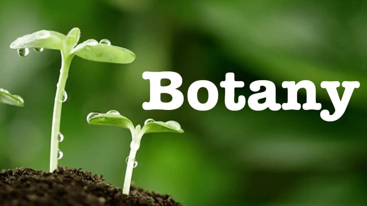 High Value Career Courses After BSc Botany in 2026 | UniList